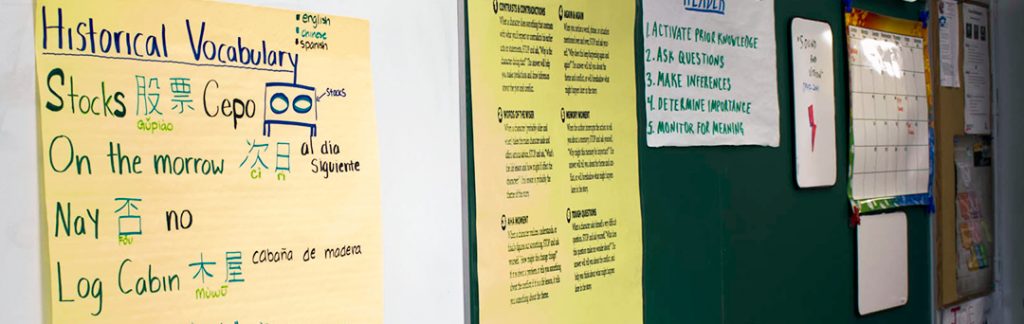 Nurturing a Multilingual Ecology | CUNY-NYSIEB